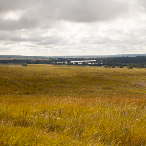 Sacagawea - Discover Lewis & Clark