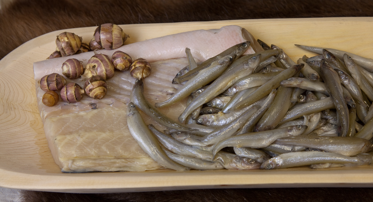 March 25, 1806 - Discover Lewis & Clark